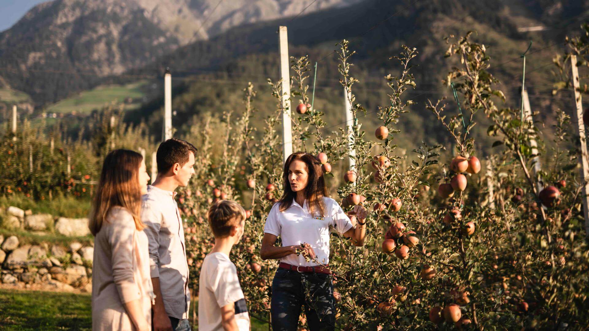 Apfelführungen: Raus in die Apfelwiese
