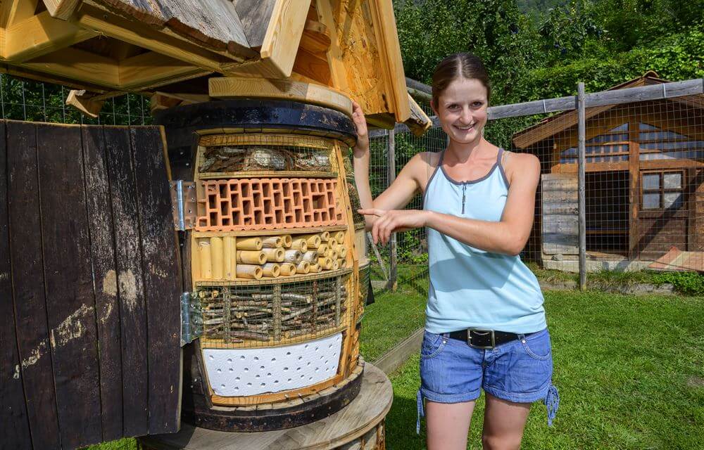 Prämierung der schönsten Apfelwiesen Südtirols