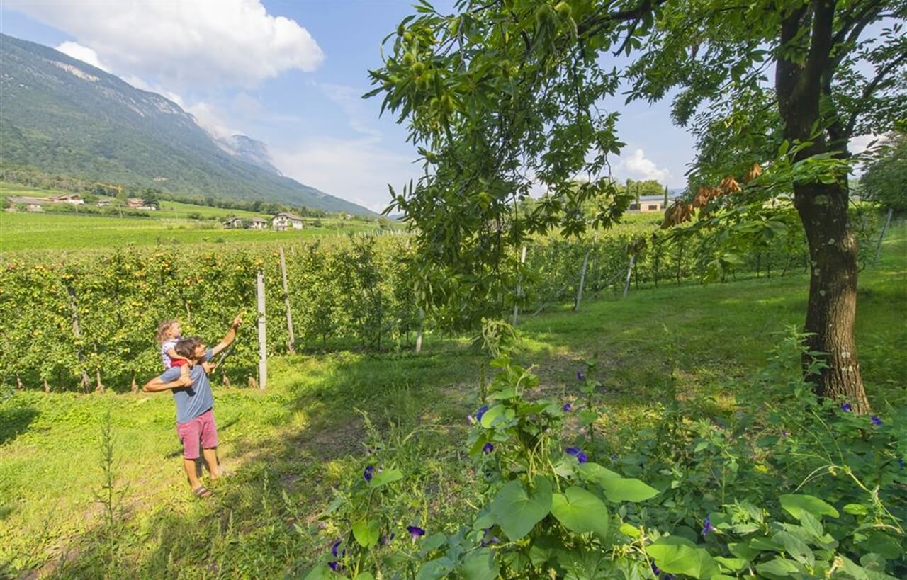 Prämierung der schönsten Apfelwiesen Südtirols