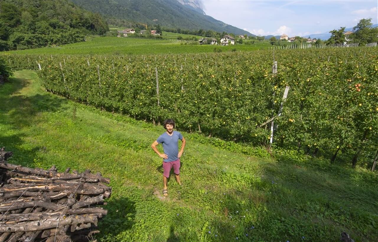 Prämierung der schönsten Apfelwiesen Südtirols